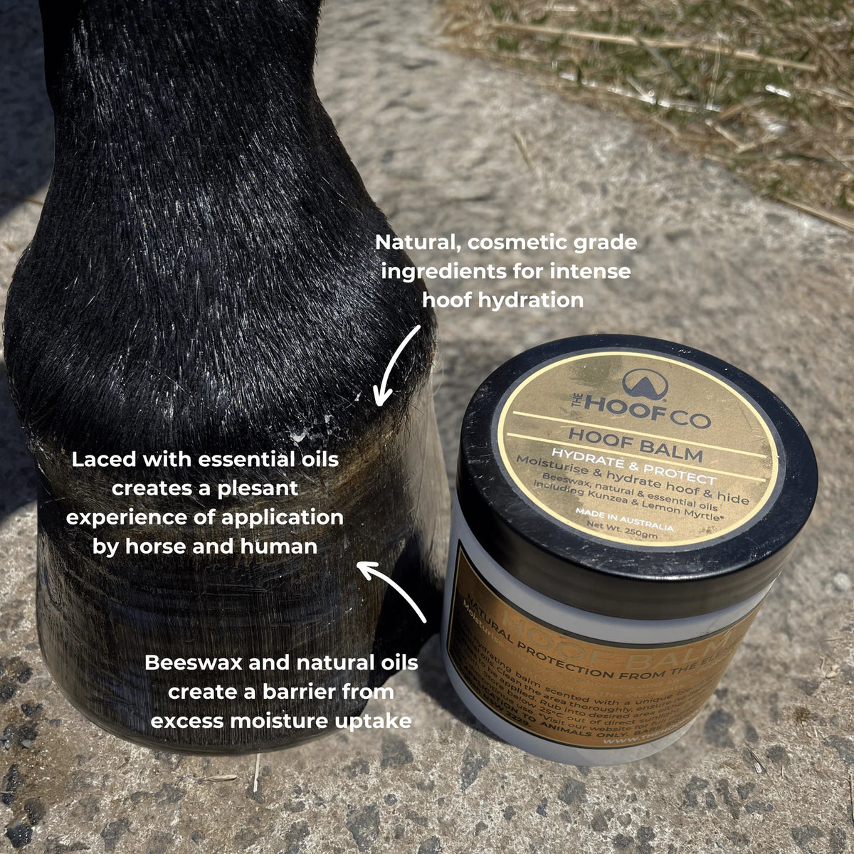 Hoof Balm – Essential Equestrian Wear